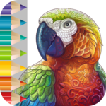 Download Mandala Coloring Pages for PC / MAC / Windows