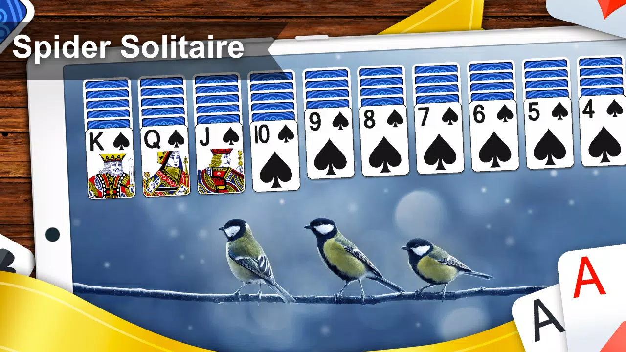 Download Spider Solitaire for PC / Windows / Computer
