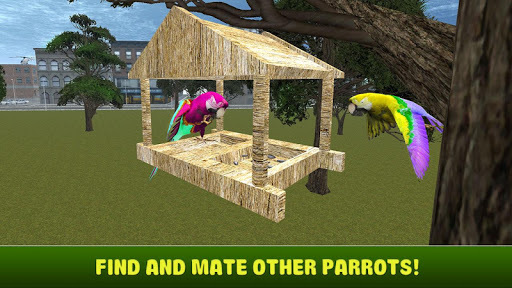 Download City Bird Parrot Simulator 3D for PC / MAC / Windows