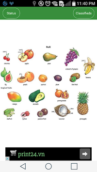 Download learn english by picture for PC / MAC / Windows