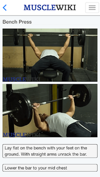 Download MuscleWiki Fitness for PC / MAC / Windows
