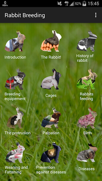 Download Rabbit breeding for PC / MAC / Windows